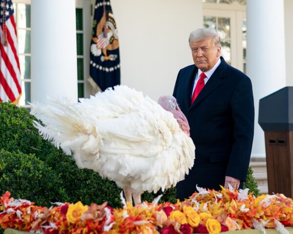 Thanksgiving Turnaround: Americans Finally See Relief Under President ...